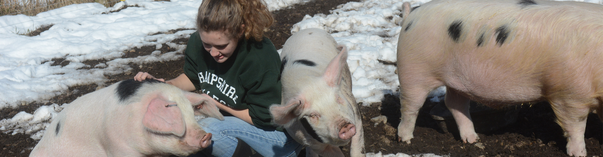 April Nugent's Instagram, Twitter & Facebook on IDCrawl