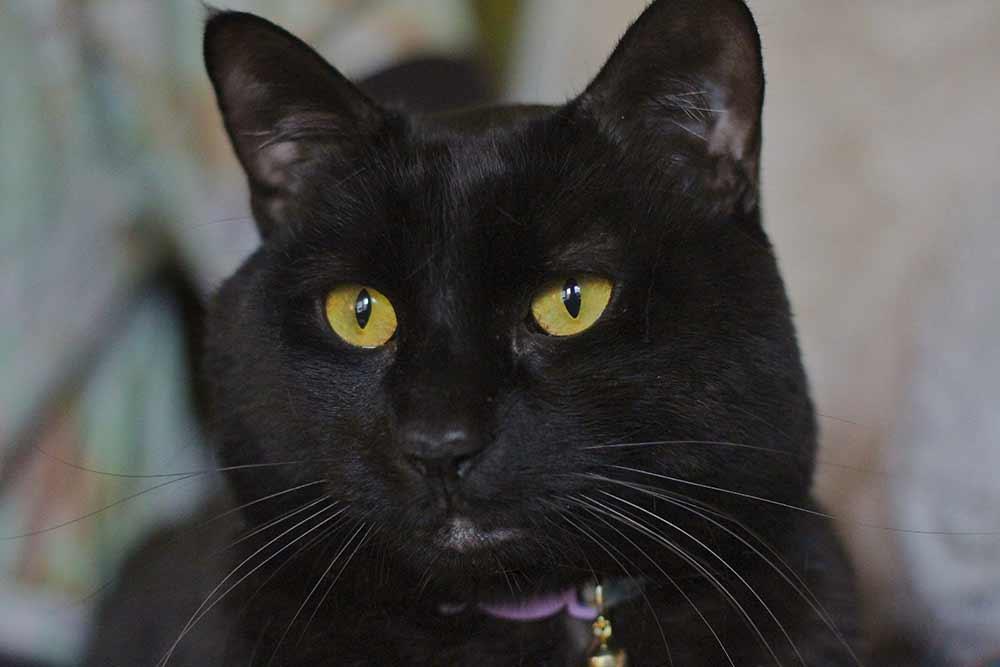 Student Investigates the Idea of Care Through Portraits of People and ...