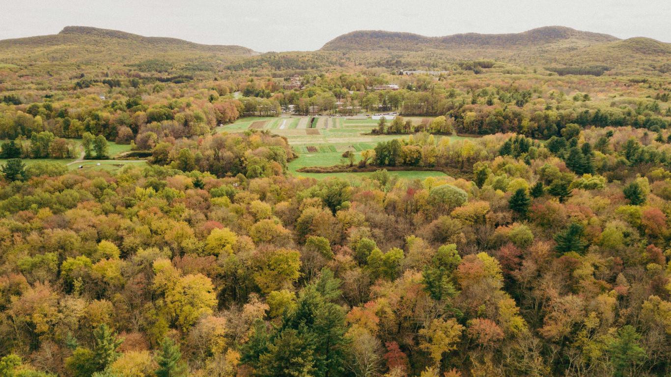 Dick Cantwell 74F | Hampshire College