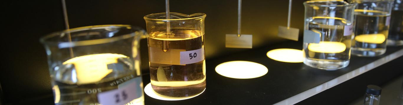 OPT Guidelines and Application | Hampshire College