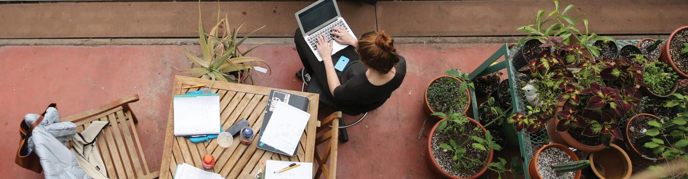 Special Projects | Hampshire College