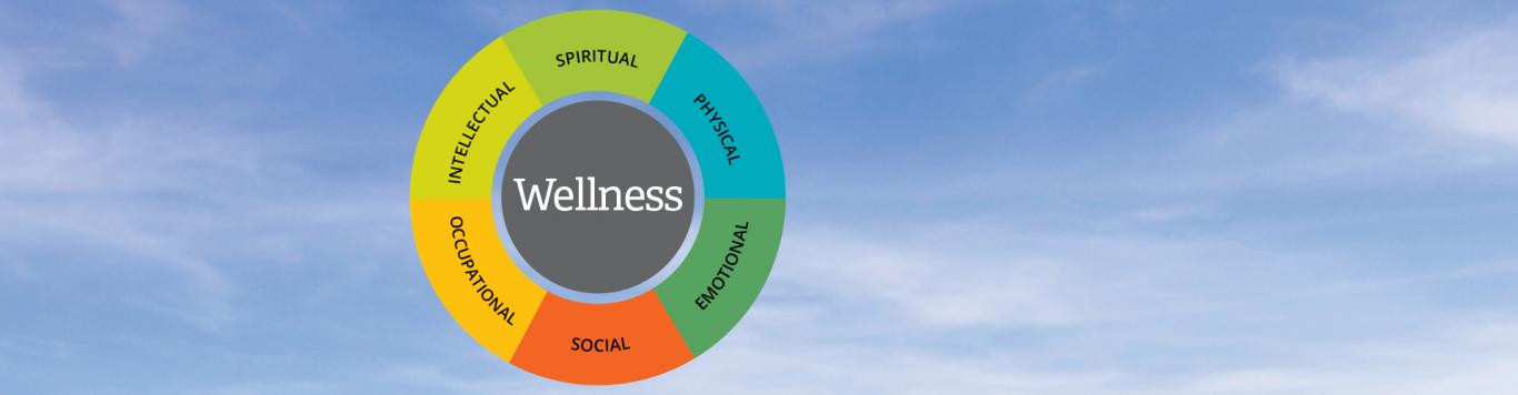 The Wellness Wheel | Hampshire College