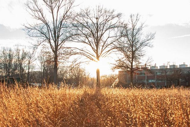 April 2, 2019: Statement from Trustees Kim Saal 70F and Fraser Beede ...